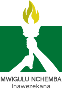 Mwigulu Nchemba - I am Mwigulu Lameck Nchemba, a Tanzanian economist ...